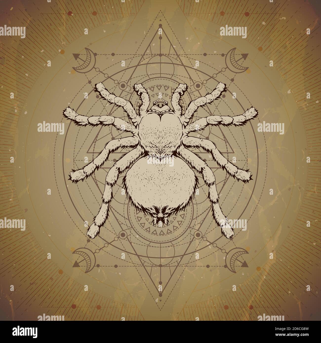 Vector illustration with hand drawn Spider and Sacred geometric symbol ...
