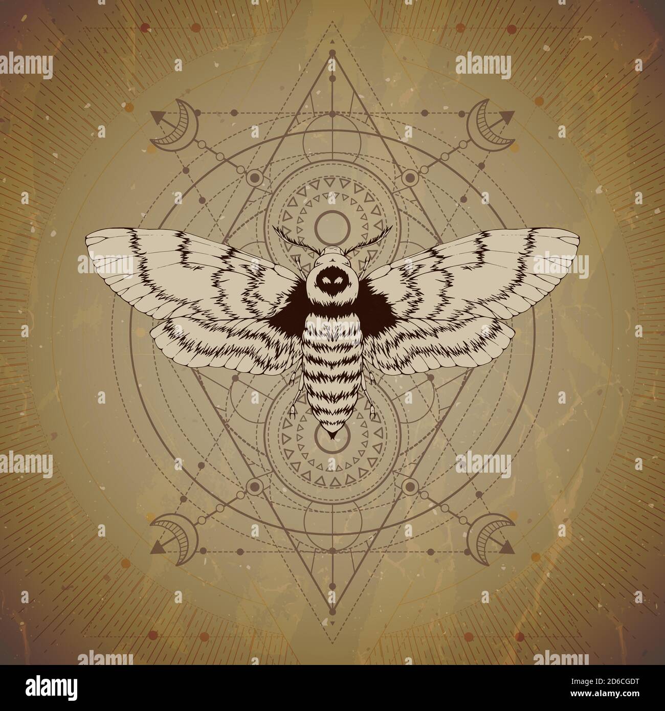 Vector illustration with hand drawn Dead head moth and Sacred geometric ...