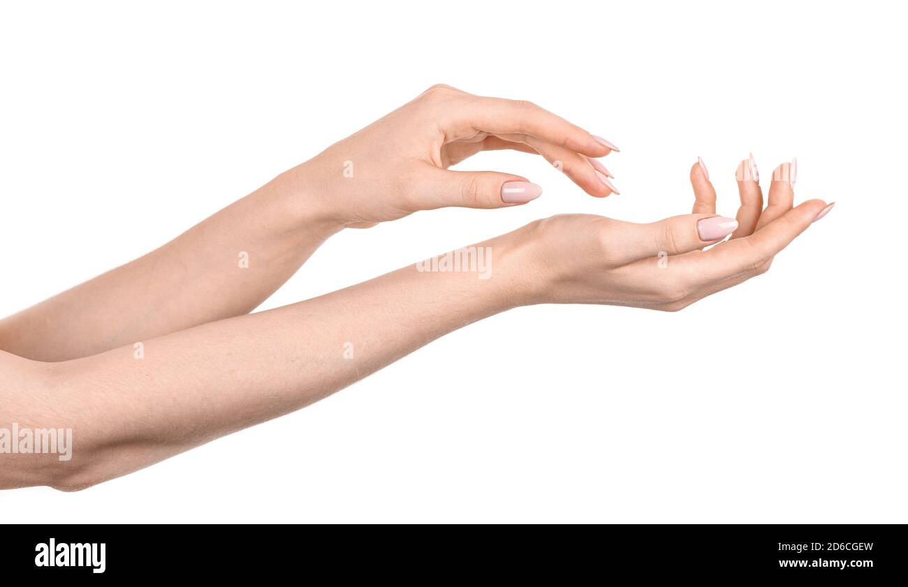 Female caucasian hands isolated white background showing gesture holds ...