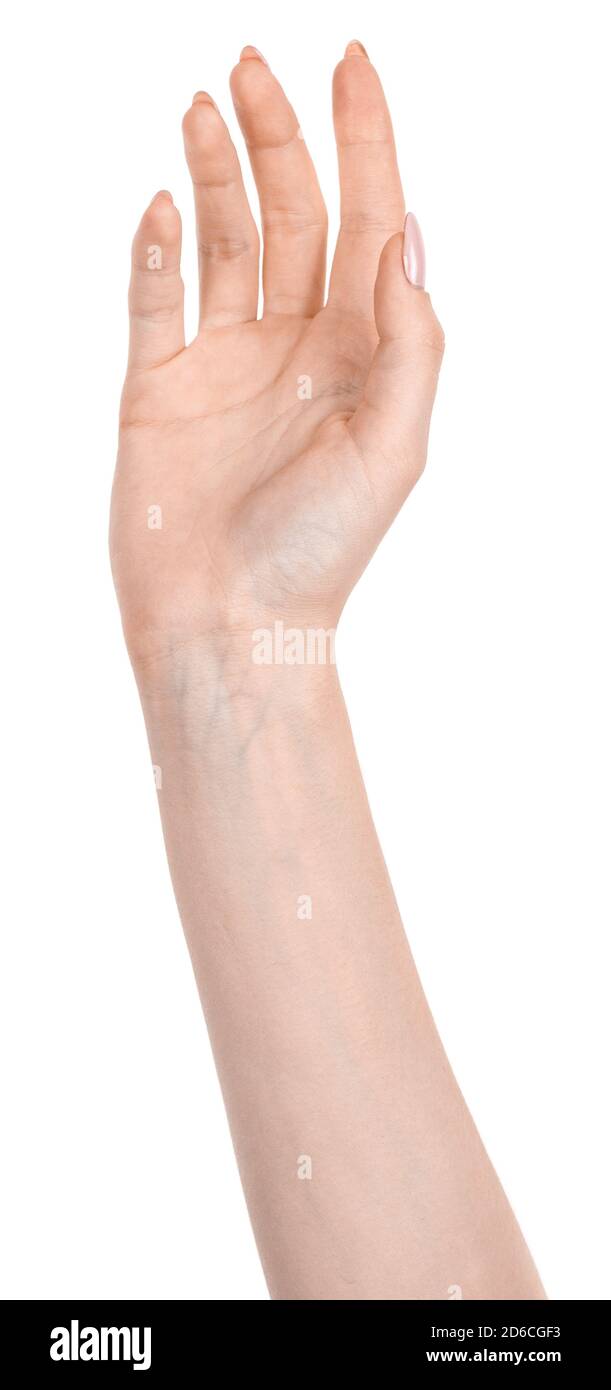 Female caucasian hands isolated white background showing gesture holds ...