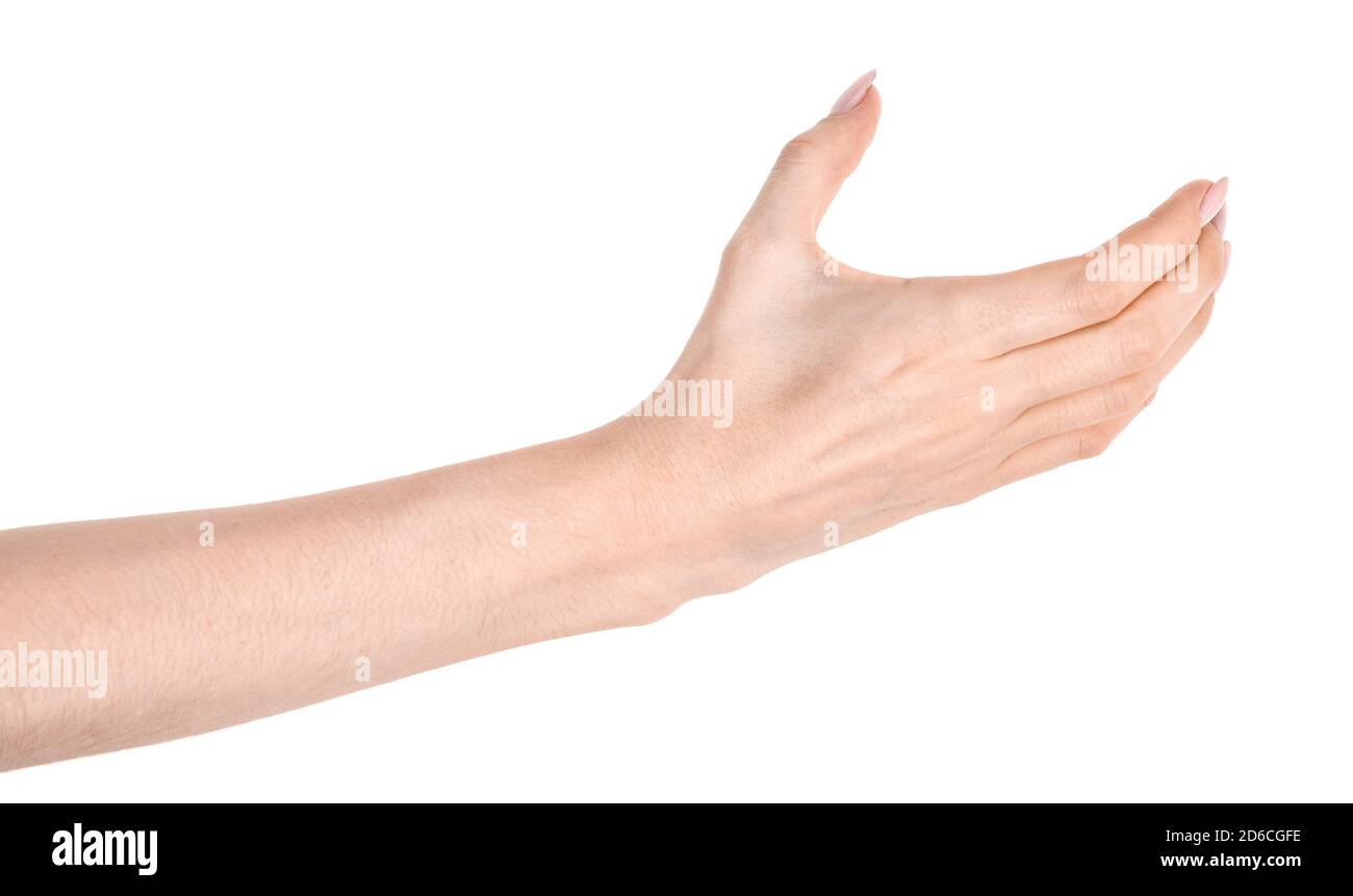 Female caucasian hands isolated white background showing gesture holds ...