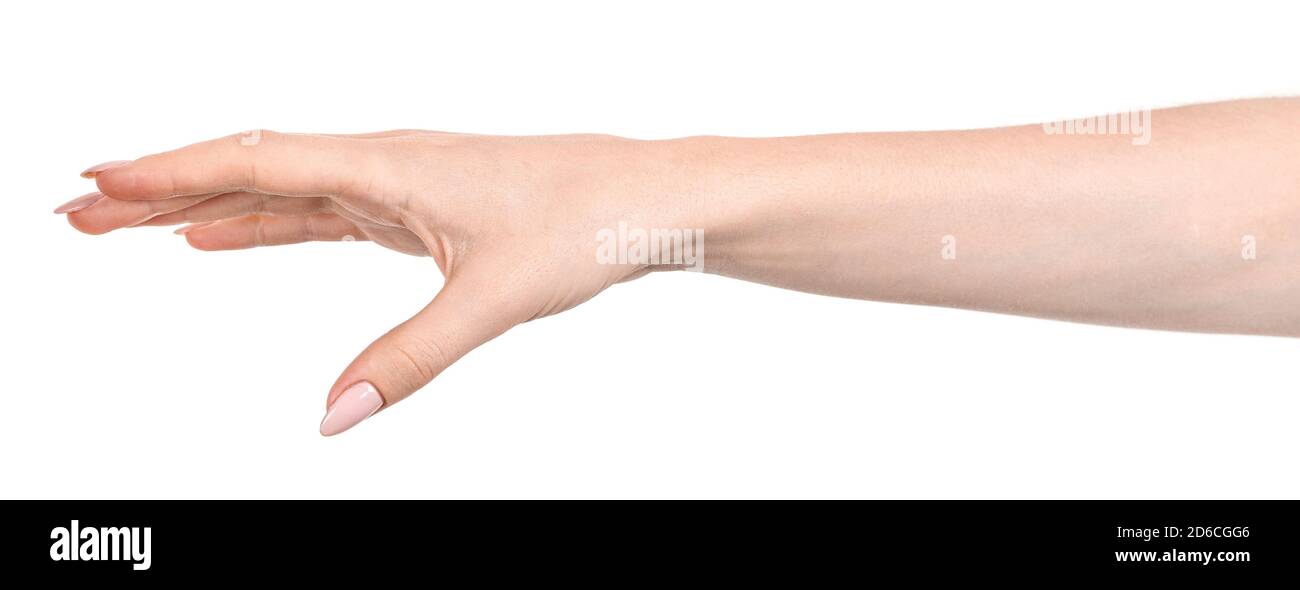 Female caucasian hands isolated white background showing gesture holds ...