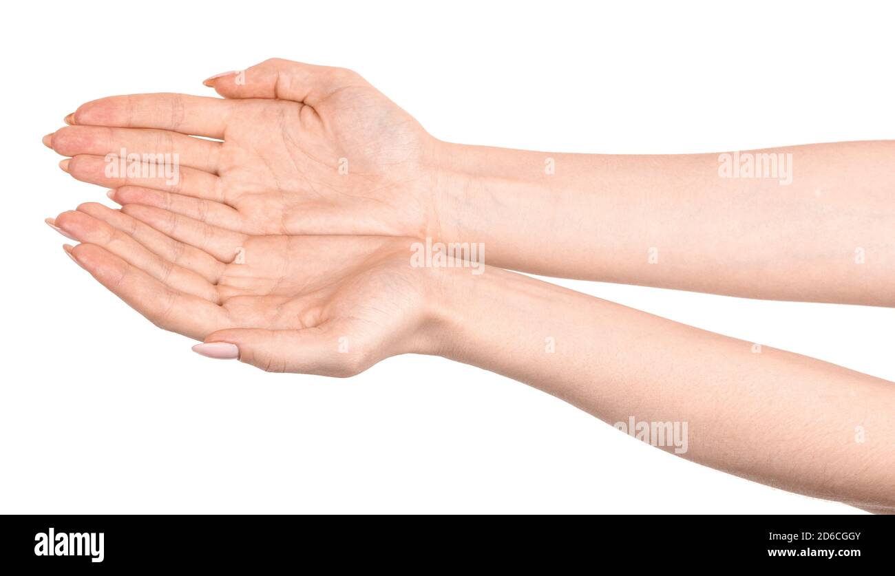 Female caucasian hands isolated white background showing gesture holds ...