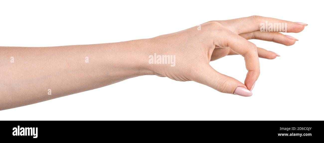 Female caucasian hands isolated white background showing gesture holds ...