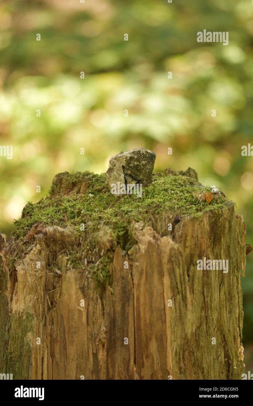 Ancient Letter High Resolution Stock Photography and Images - Alamy