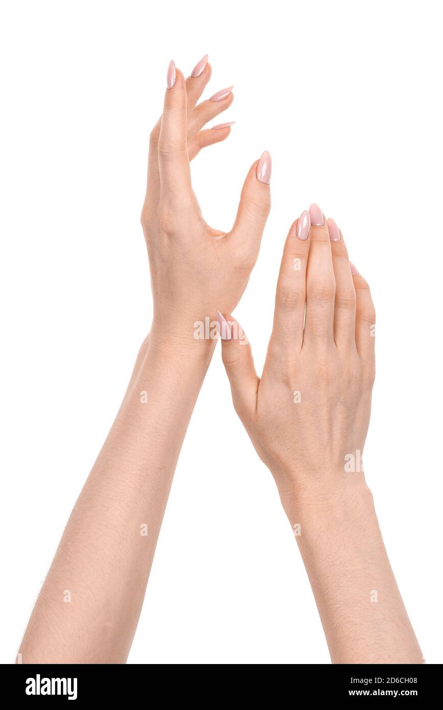 Female caucasian hands isolated white background showing various finger ...