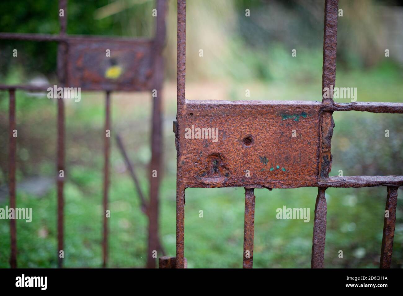 old gate with rusty lock and green in background Stock Photo - Alamy