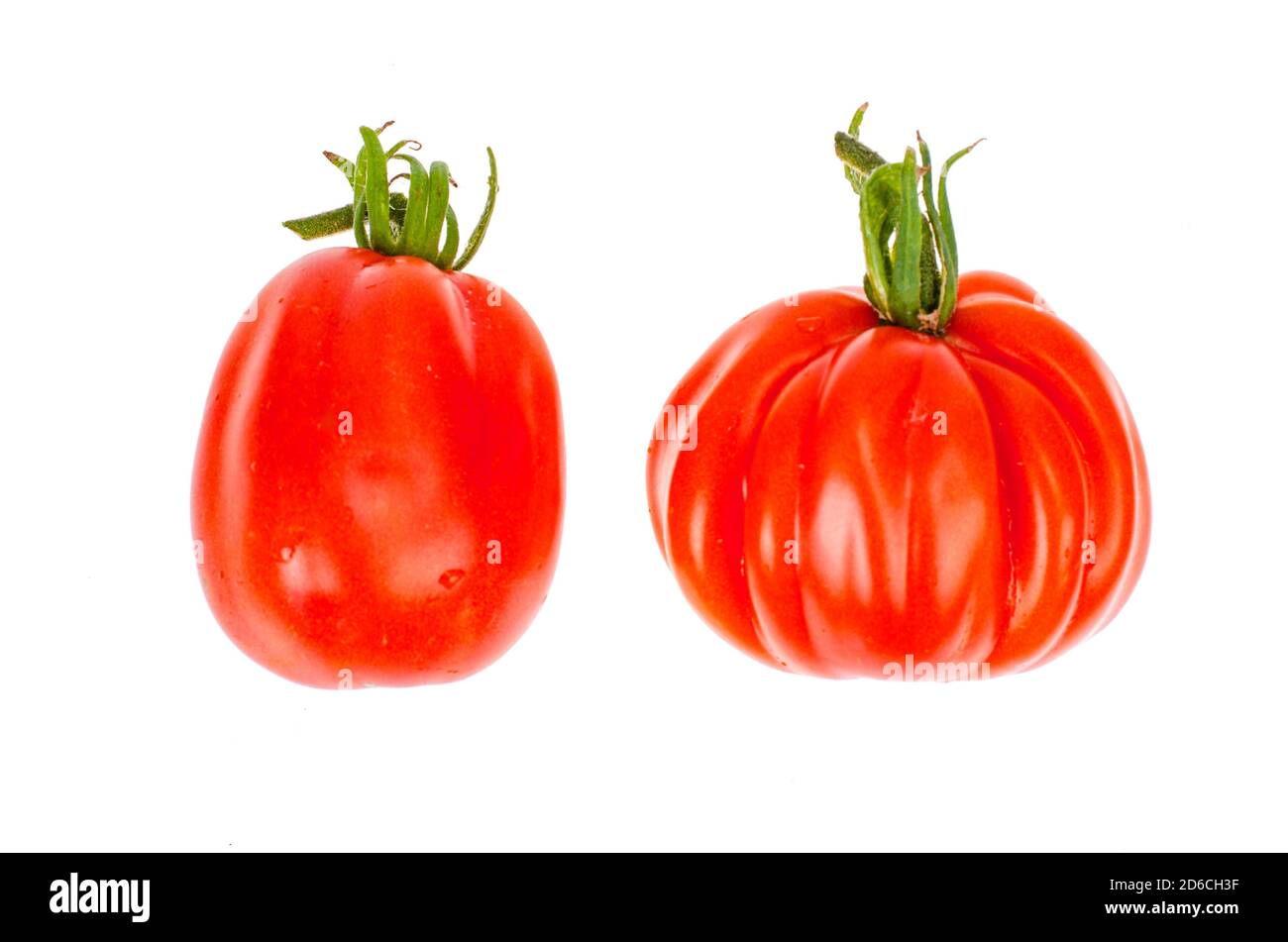 Big pink beef tomato isolated on white background. Studio Photo Stock ...