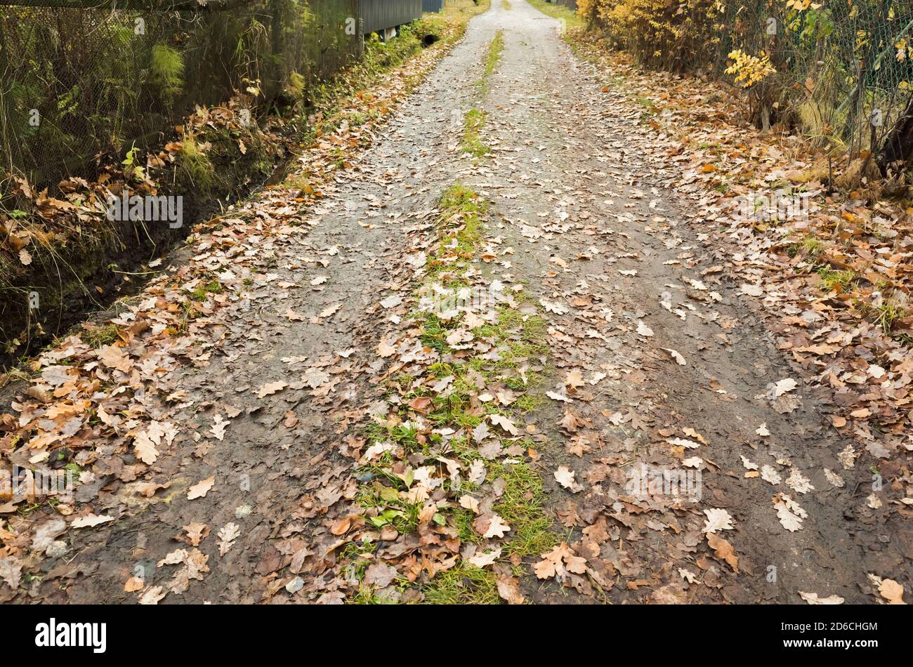 Road perspective view hi-res stock photography and images - Alamy