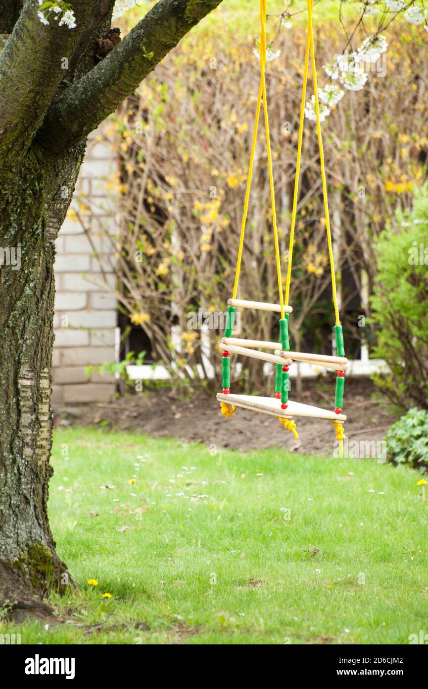 Tree swing for a child hanging on a tree branch Stock Photo - Alamy