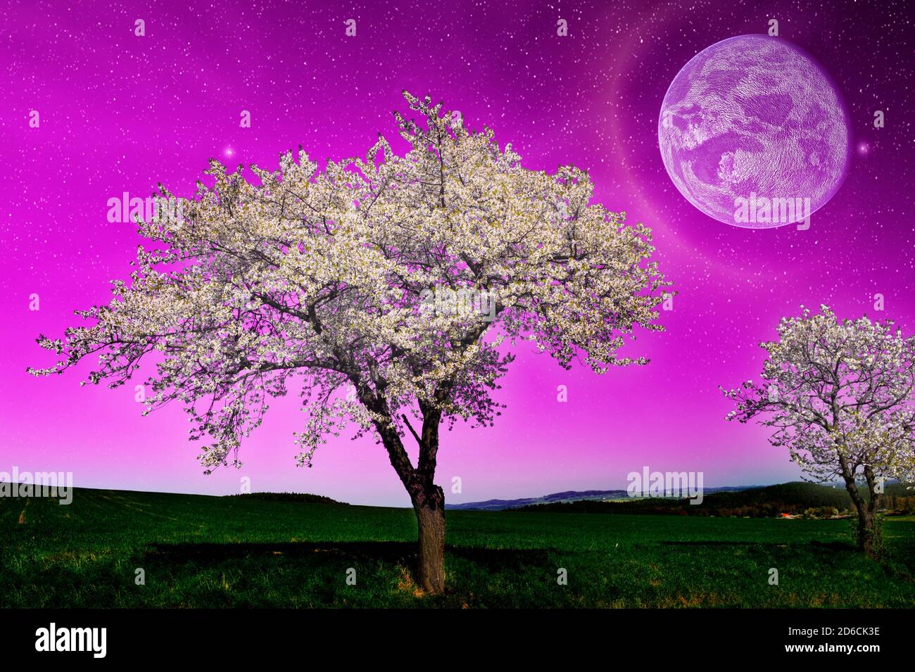 Fantasy night landscape with a pink sky with a planet and a starfield ...