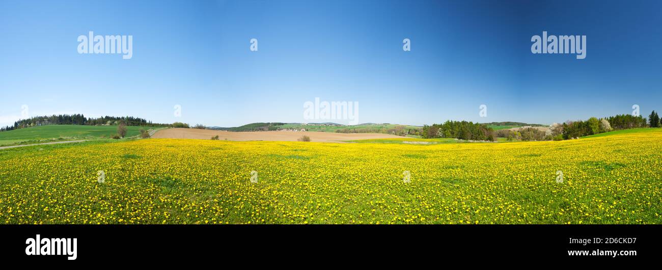 Beautiful spring panoramatic shot hi-res stock photography and images ...