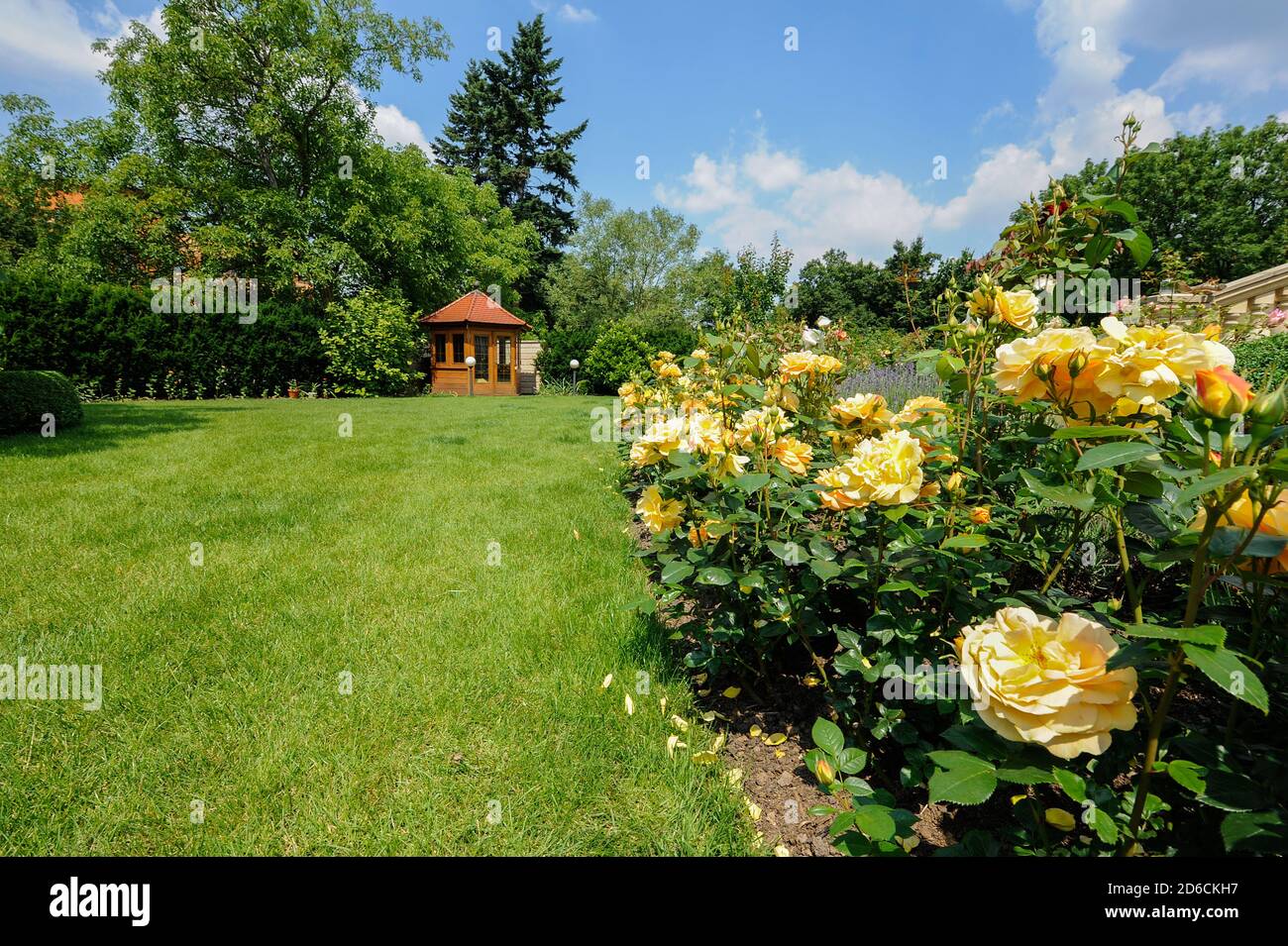 Beautiful garden with blooming roses and a small gazebo Stock Photo - Alamy