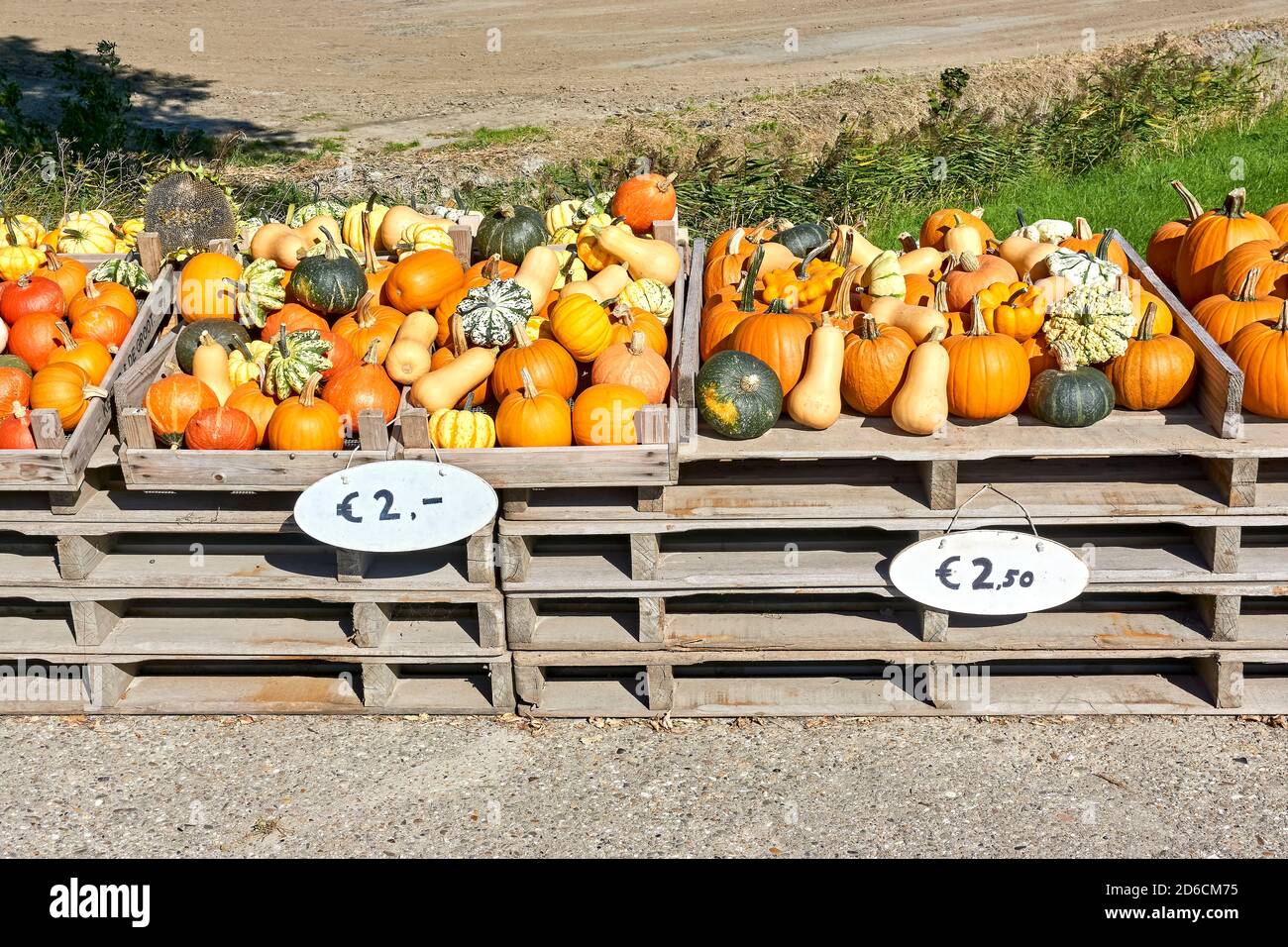 Gourds for sale at a farmers market in autumn. Various types, sizes and ...