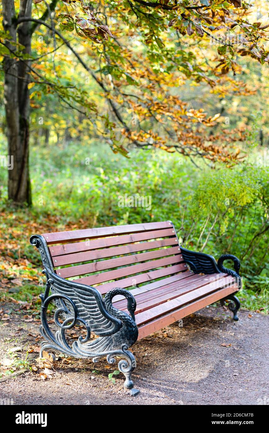 Bench under tree fallen leaves hi-res stock photography and images - Alamy