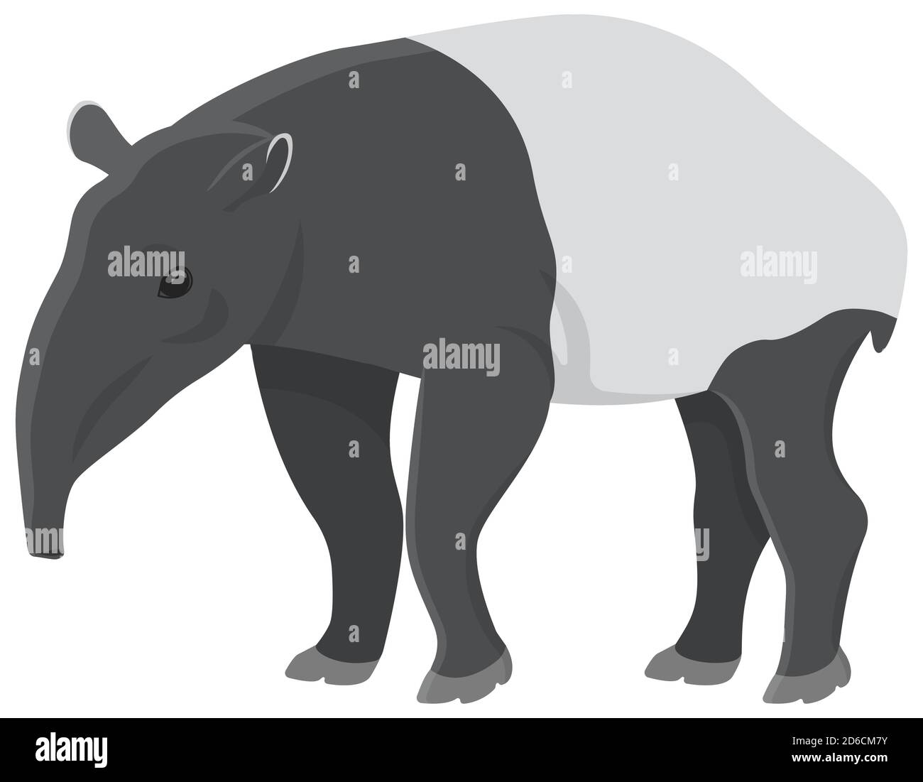 Tapir in cartoon style. Unusual animal isolated on white background ...