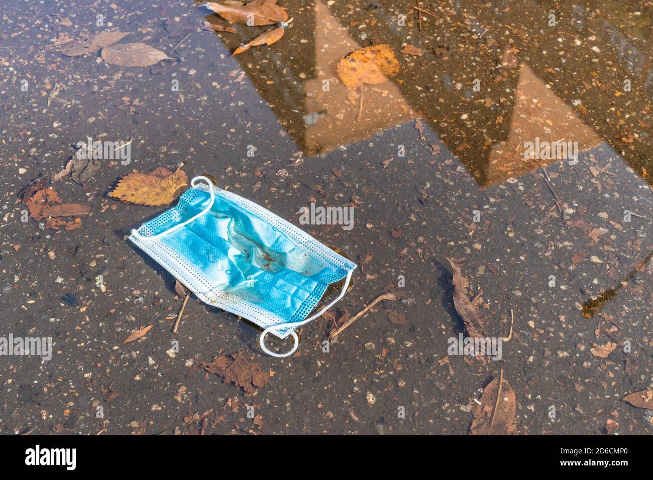 puddle with fallen leaves and used sanitary face mask and reflection of ...