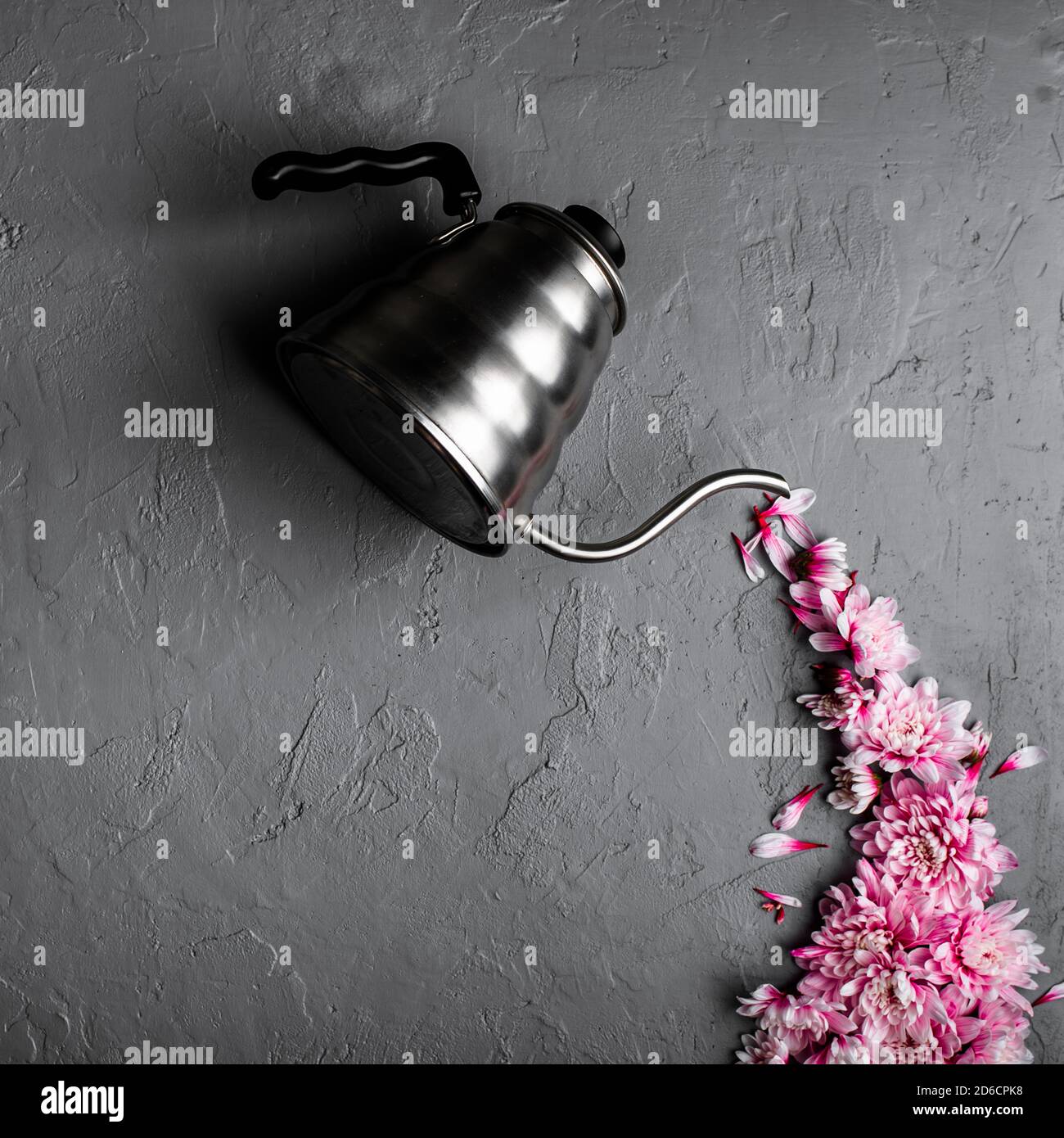 Creative layout of teapot with chrysanthemum flowers on gray concrete ...