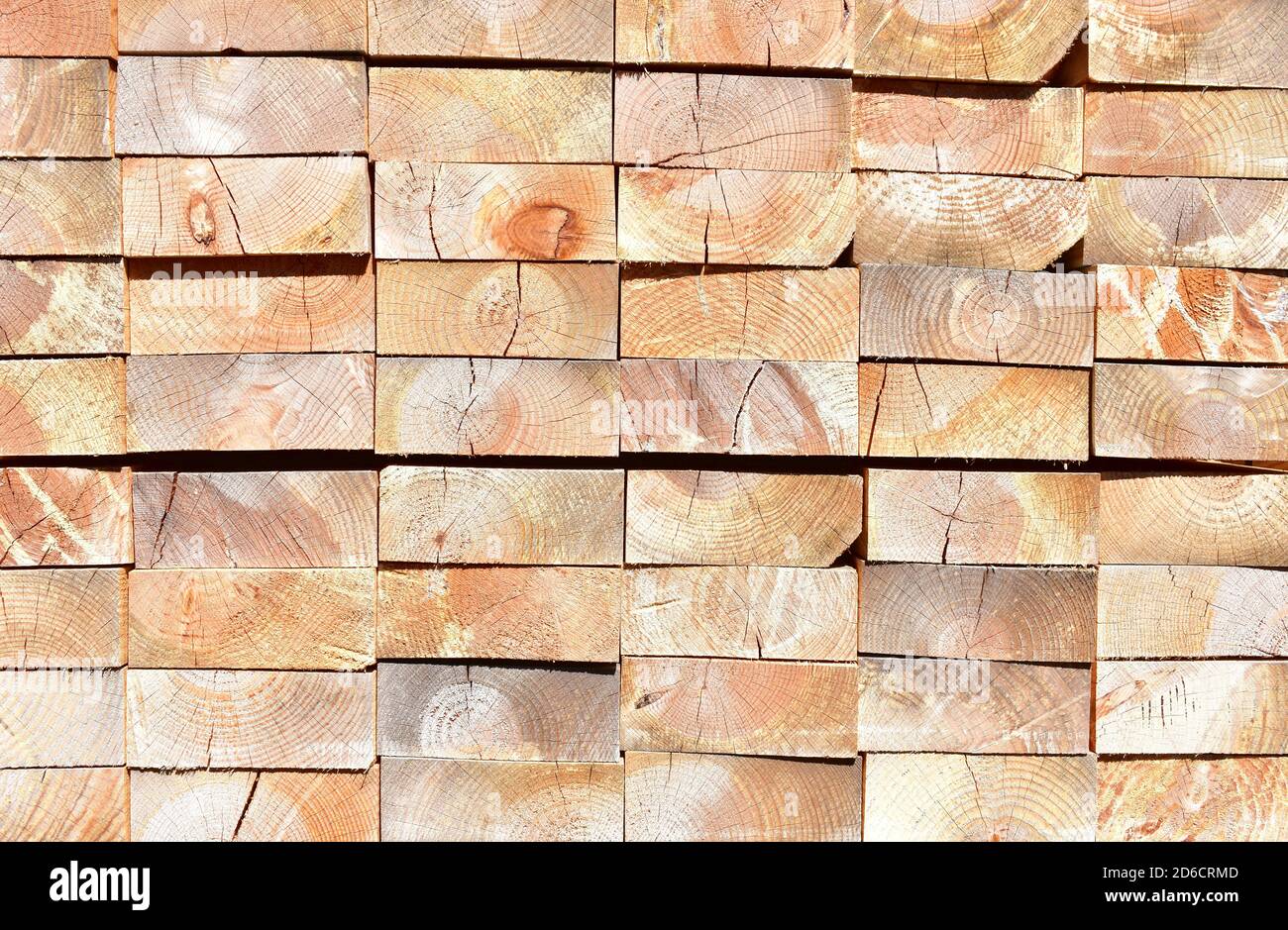 Pine tree cut wood background. Wood texture with sun light Stock Photo ...