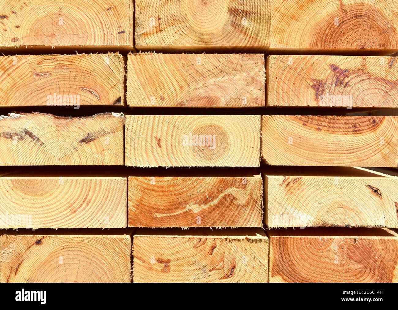 Pine tree cut wood background. Wood texture with sun light Stock Photo ...