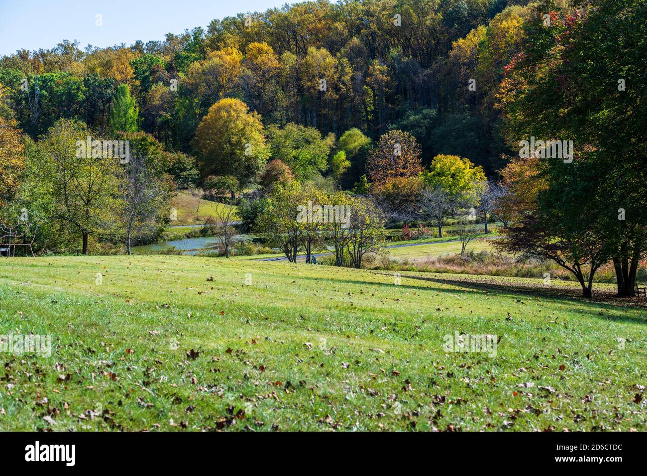 Landscape Photo of Virginia Trees in Autumn Stock Photo - Alamy
