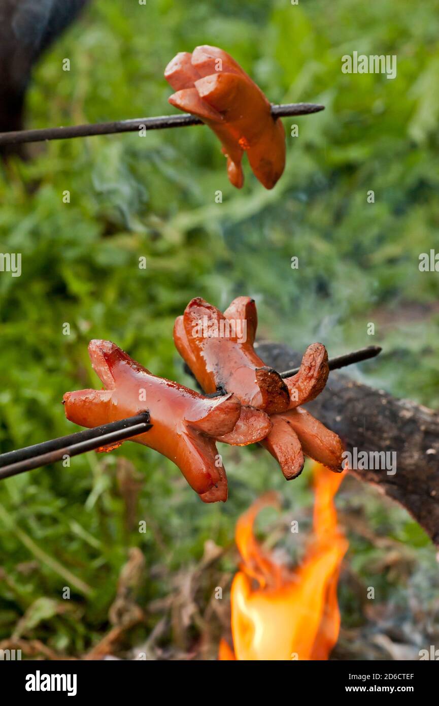 Traditional Czech barbecue - sausages on a stick roasted on the ...