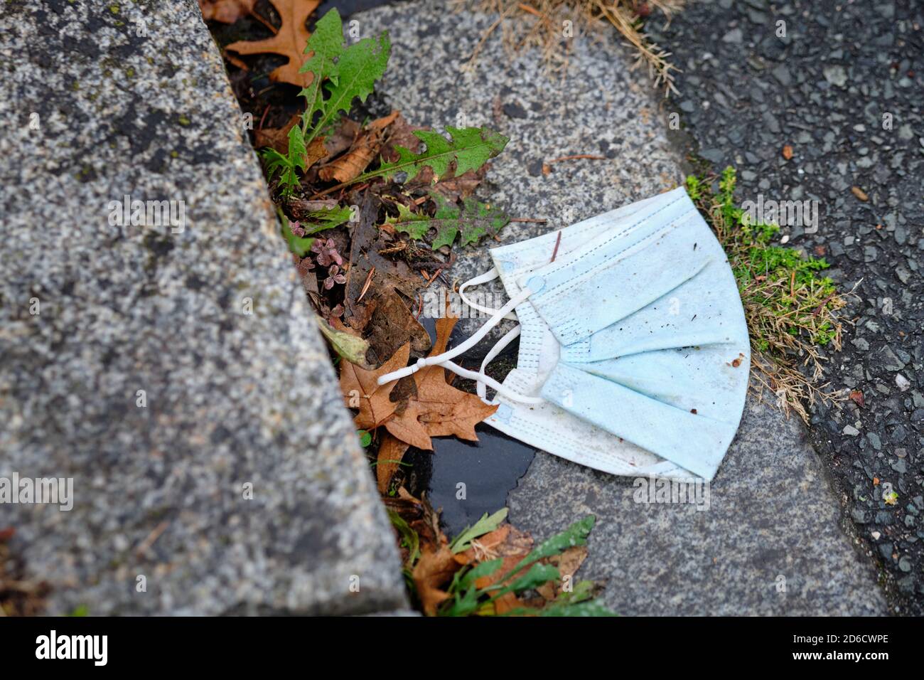 A dirty worn disposable face mask lying in a street beside a curb stone ...