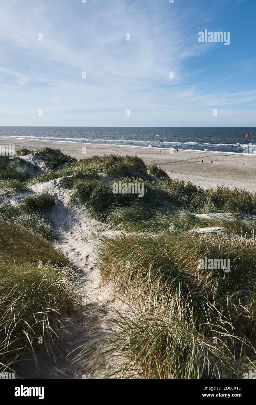 Coastal dune between Skagen and Hals in North Jutland Region in Denmark ...