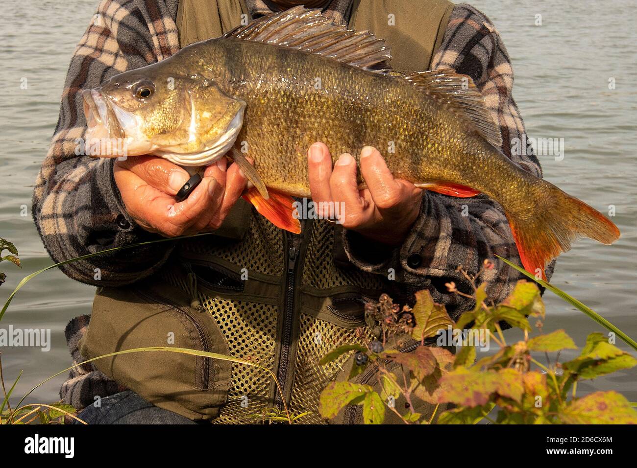 Hand lake underwater hi-res stock photography and images - Alamy