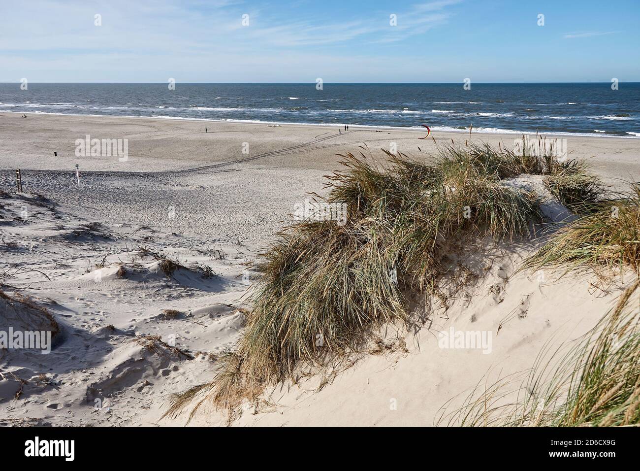 Coastal dune between Skagen and Hals in North Jutland Region in Denmark ...