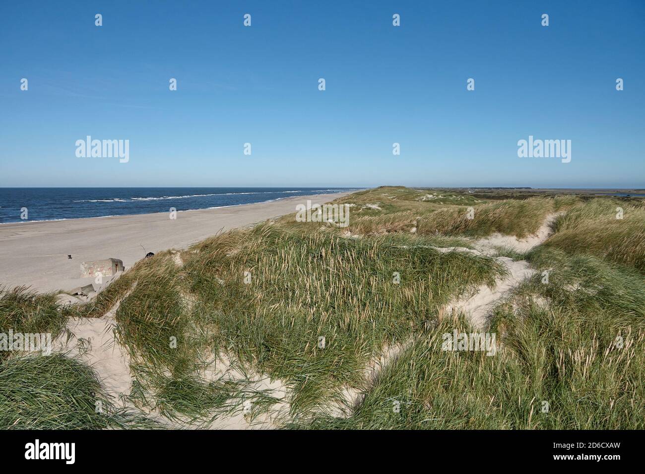 Coastal dune between Skagen and Hals in North Jutland Region in Denmark ...
