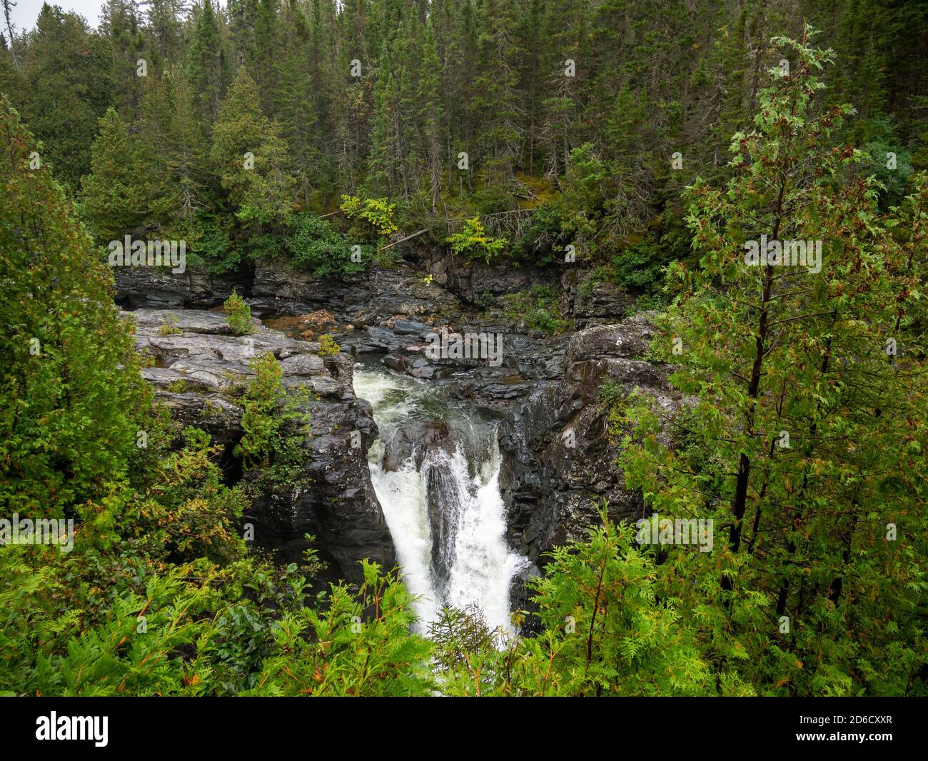 A rainy day in the trail of the Gaspesie National Park in Quebec ...
