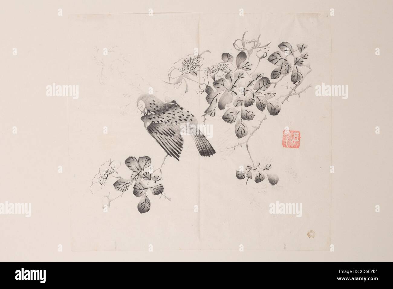 Shi hu shu hi-res stock photography and images - Alamy