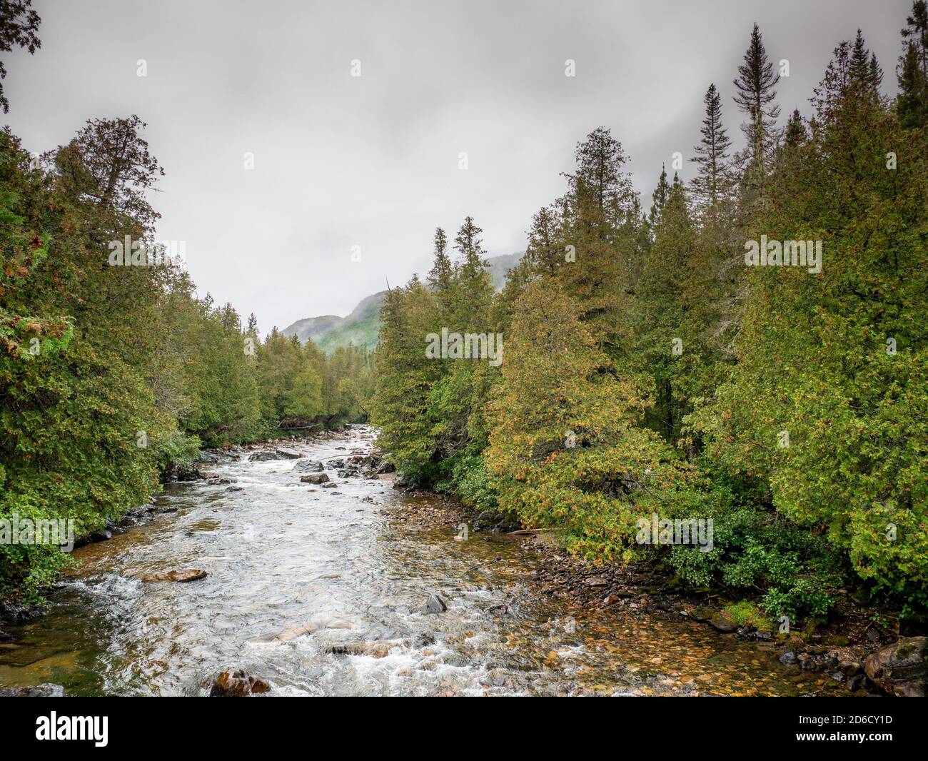 A rainy day in the trail of the Gaspesie National Park in Quebec ...