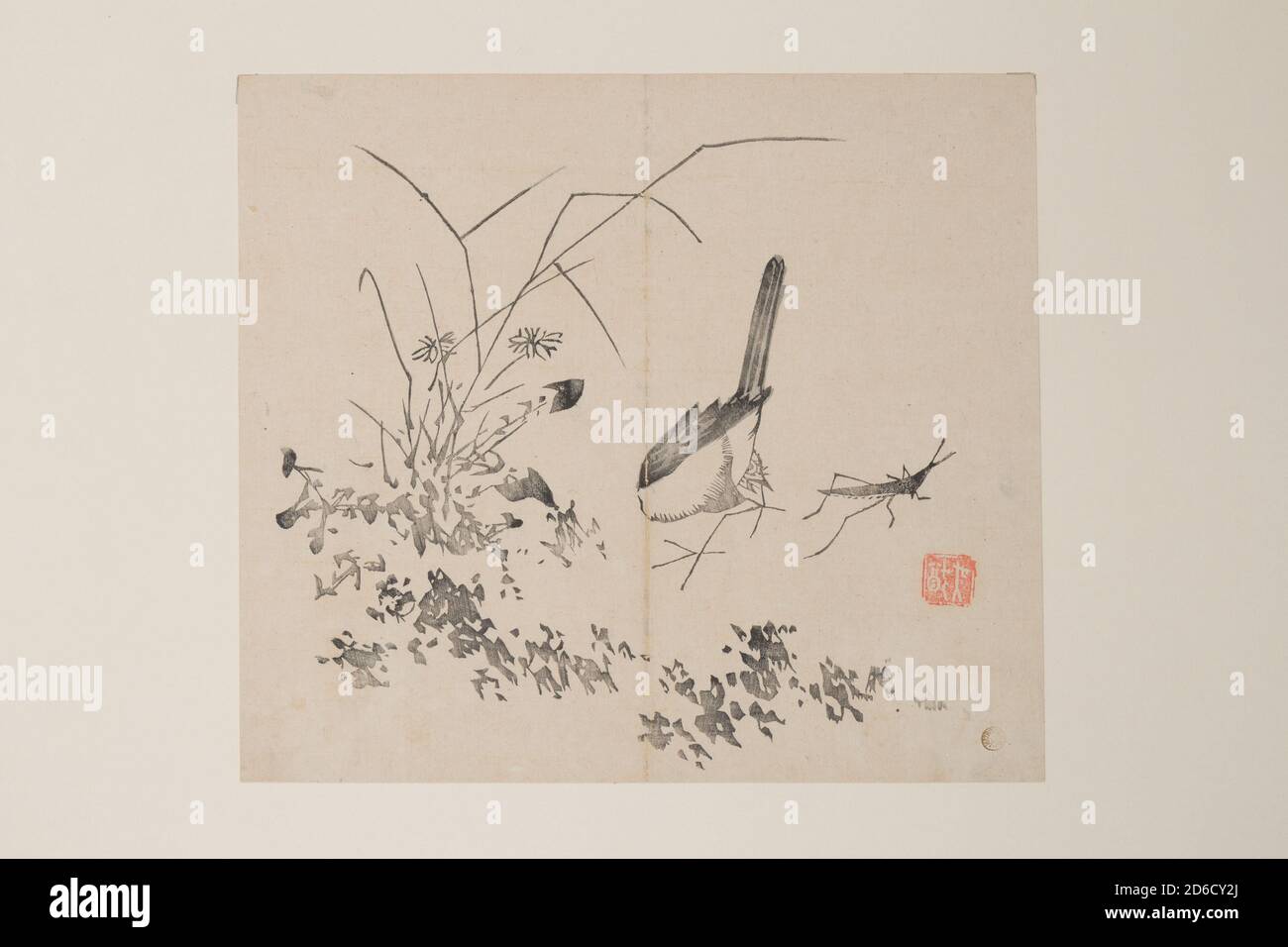 Shi hu shu hi-res stock photography and images - Alamy