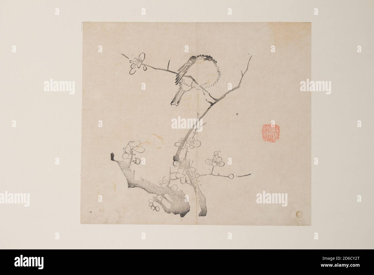 Shi hu shu hi-res stock photography and images - Alamy