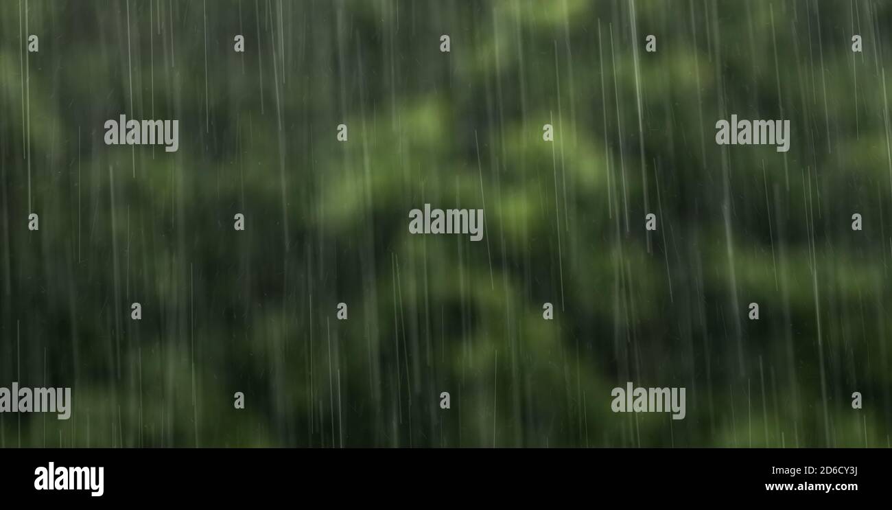 Rain falling from the sky, bringint the very needed humidity to the ...