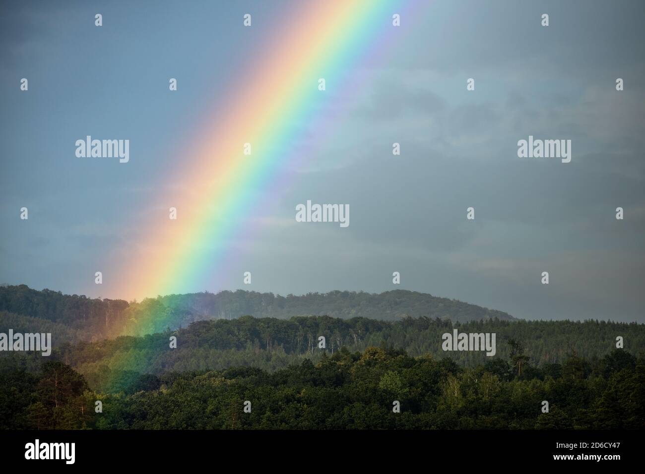 Rain falling from the sky, bringint the very needed humidity to the ...
