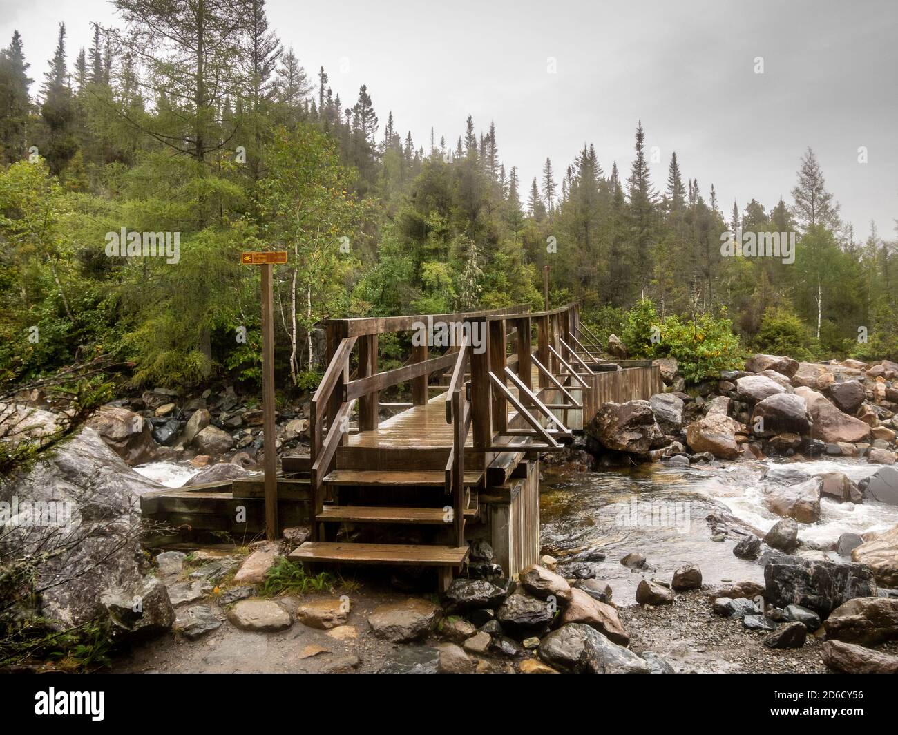 A rainy day in the trail of the Gaspesie National Park in Quebec ...