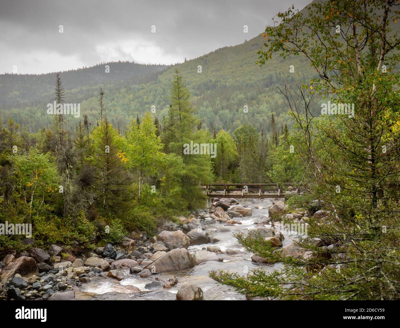 A rainy day in the trail of the Gaspesie National Park in Quebec ...