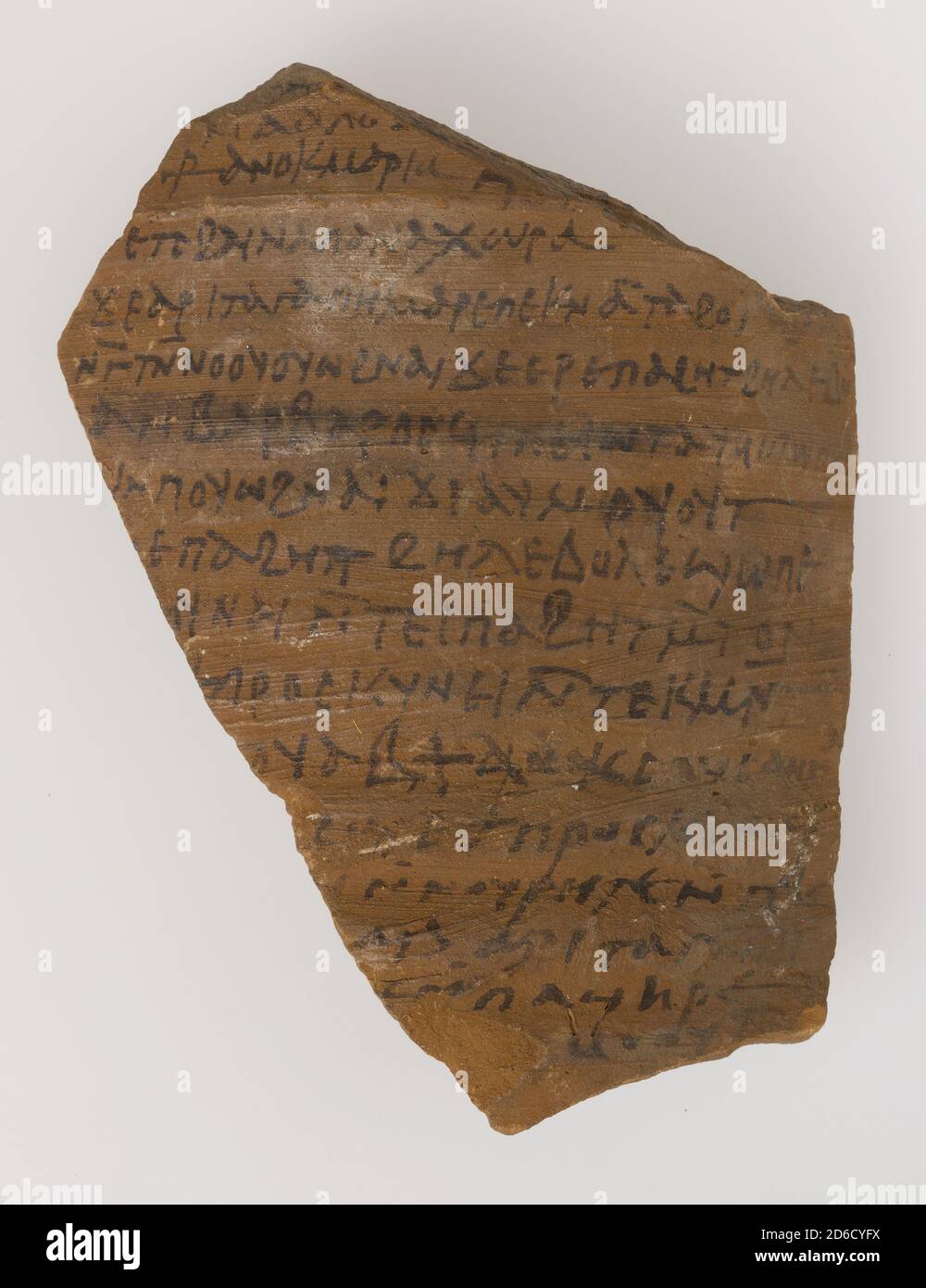Ostraca ostraca hi-res stock photography and images - Alamy