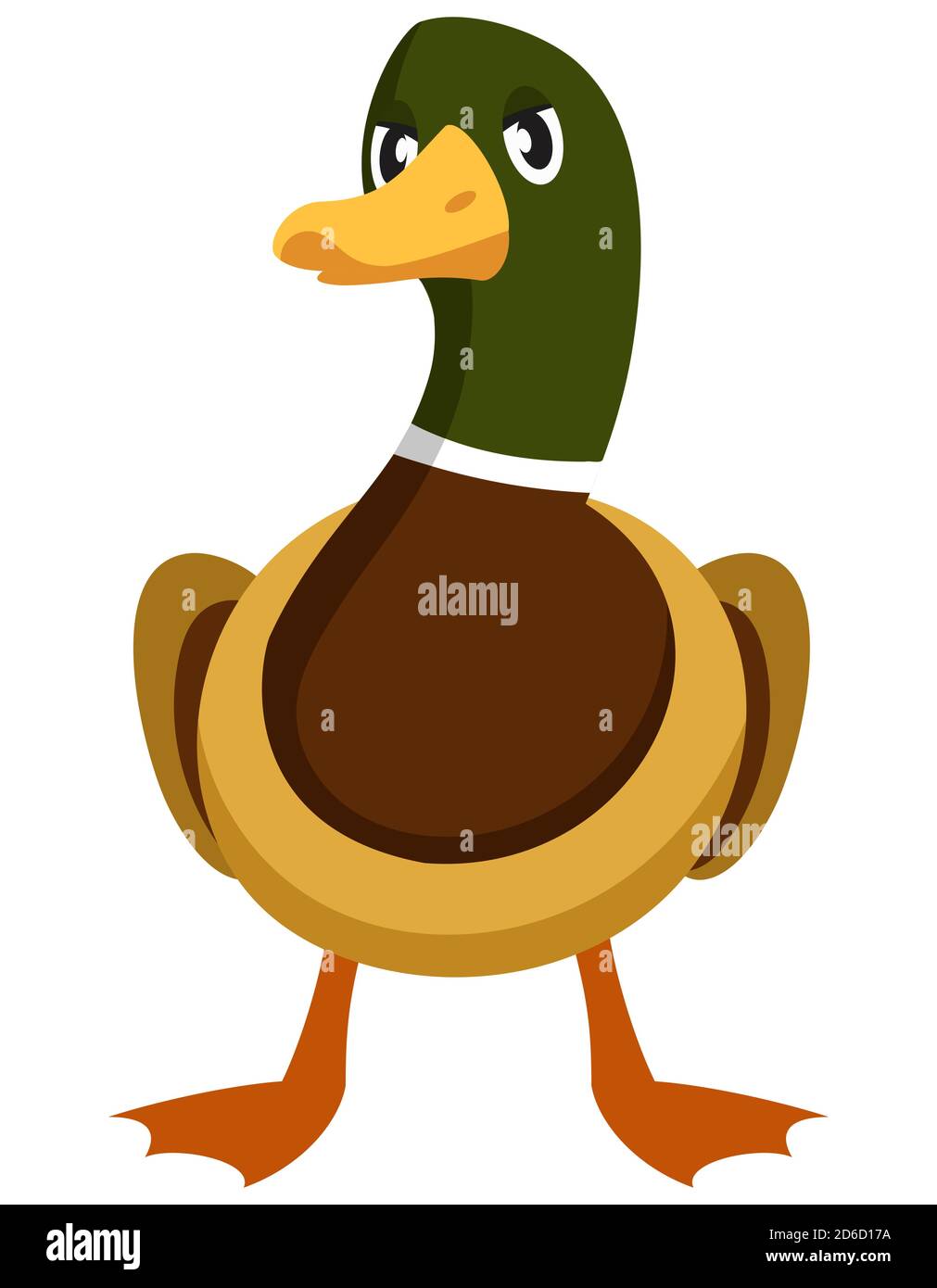 Animal bird duck in farm Stock Vector Images - Alamy