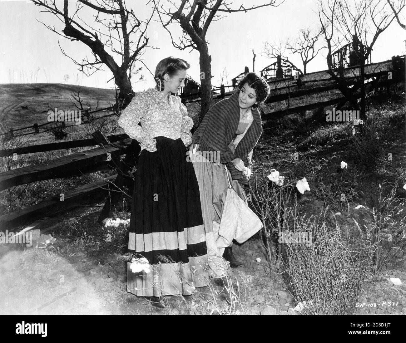 Victor fleming ann rutherford hi-res stock photography and images - Alamy