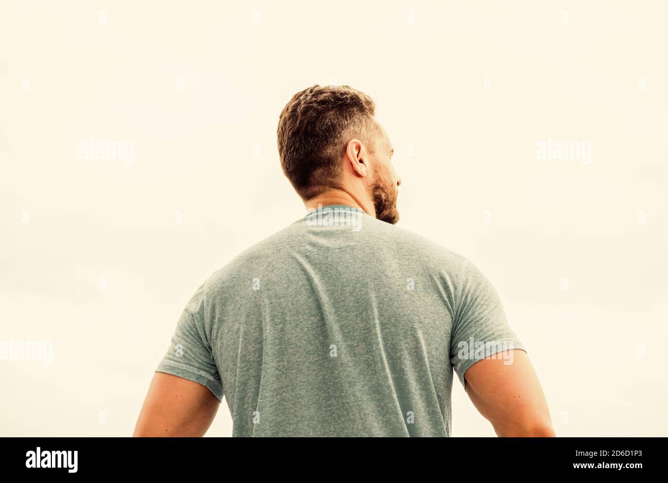 Man Silhouette Back View High Resolution Stock Photography and Images ...