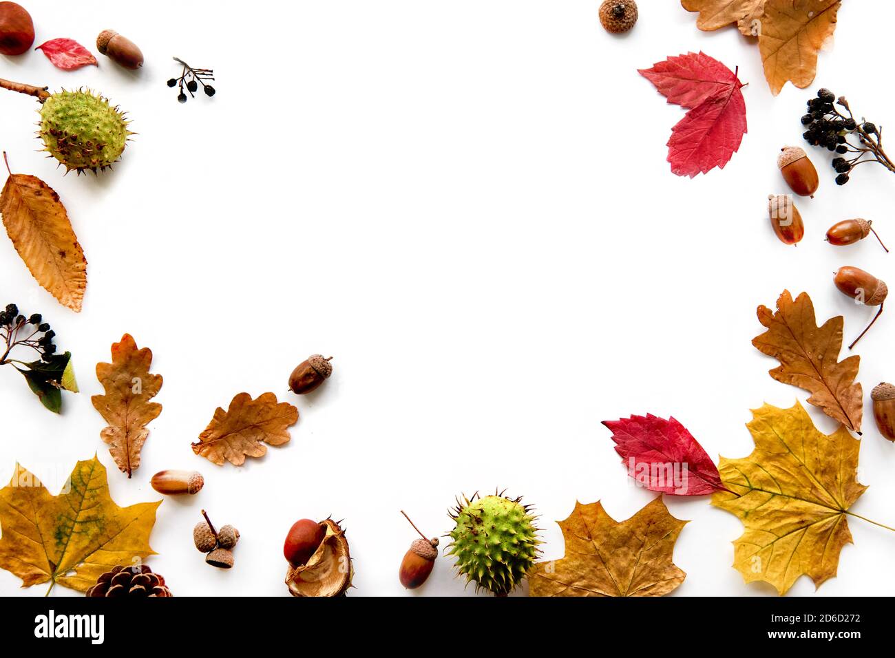Autumn composition. Frame made of dried leaves, branches, pine cones ...