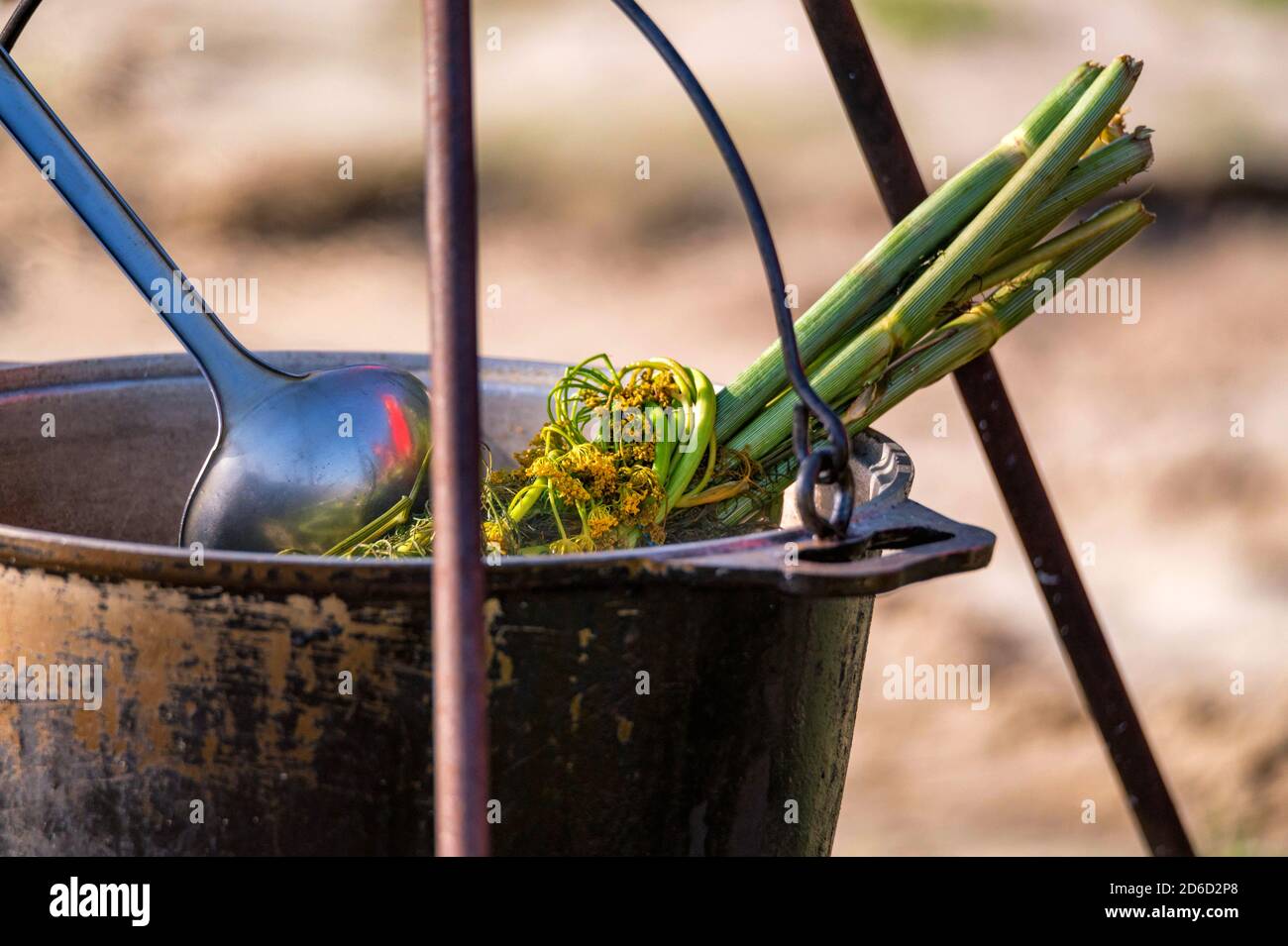 Fish on open fire close hi-res stock photography and images - Alamy