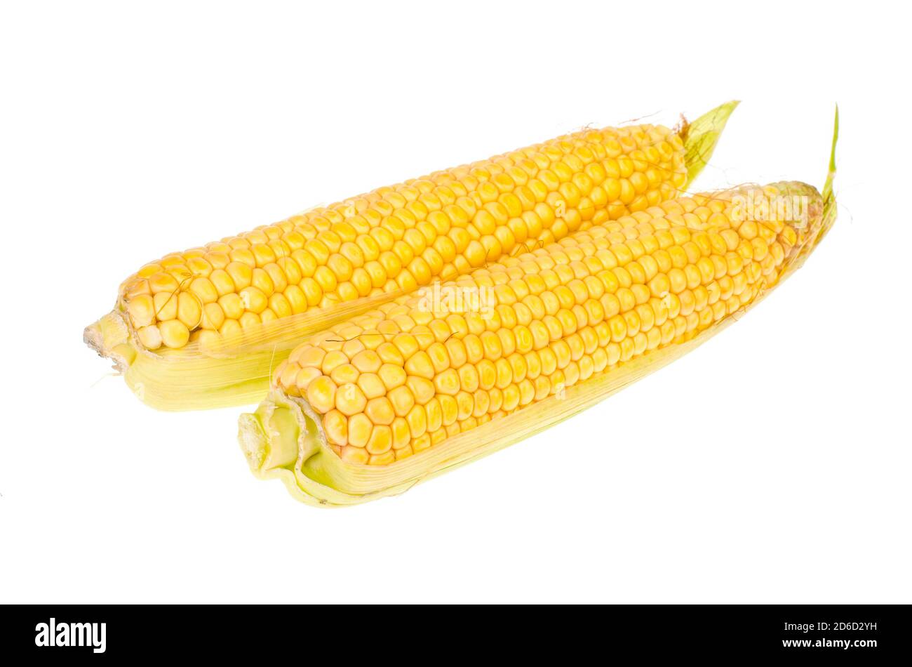 Two cobs of ripe fresh yellow corn on white background. Studio Photo ...
