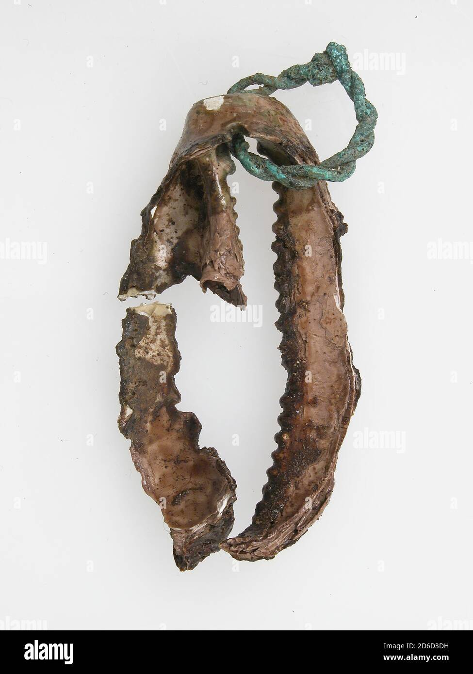 Shell with wire ring, Frankish, 6th-7th century Stock Photo - Alamy