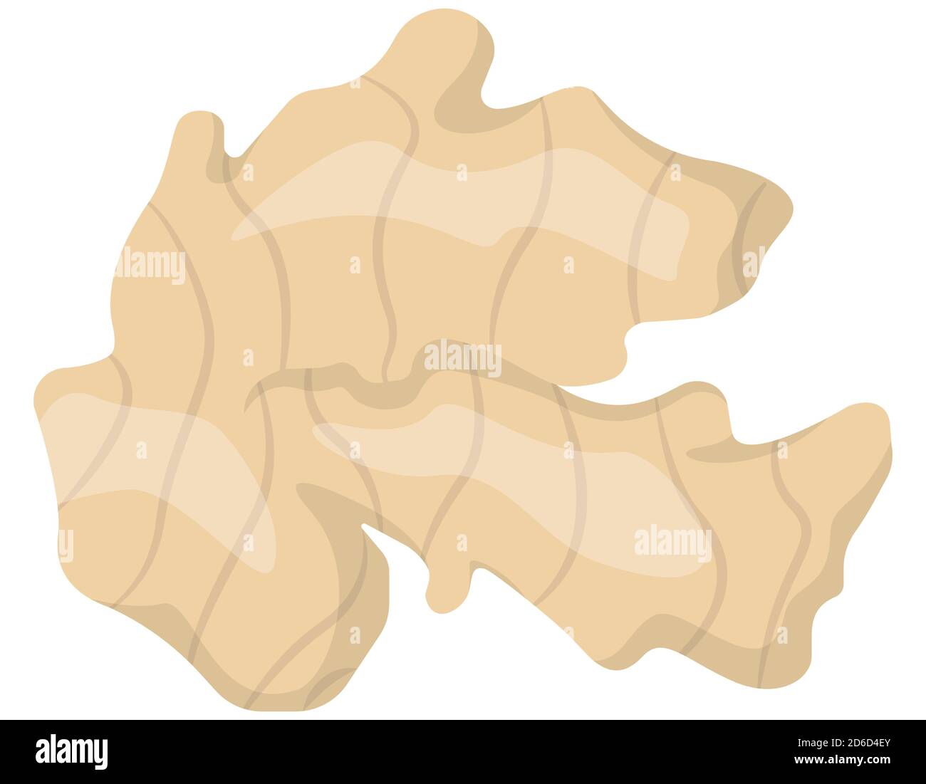 Ginger root in cartoon style. Healthy food Stock Vector Image & Art - Alamy