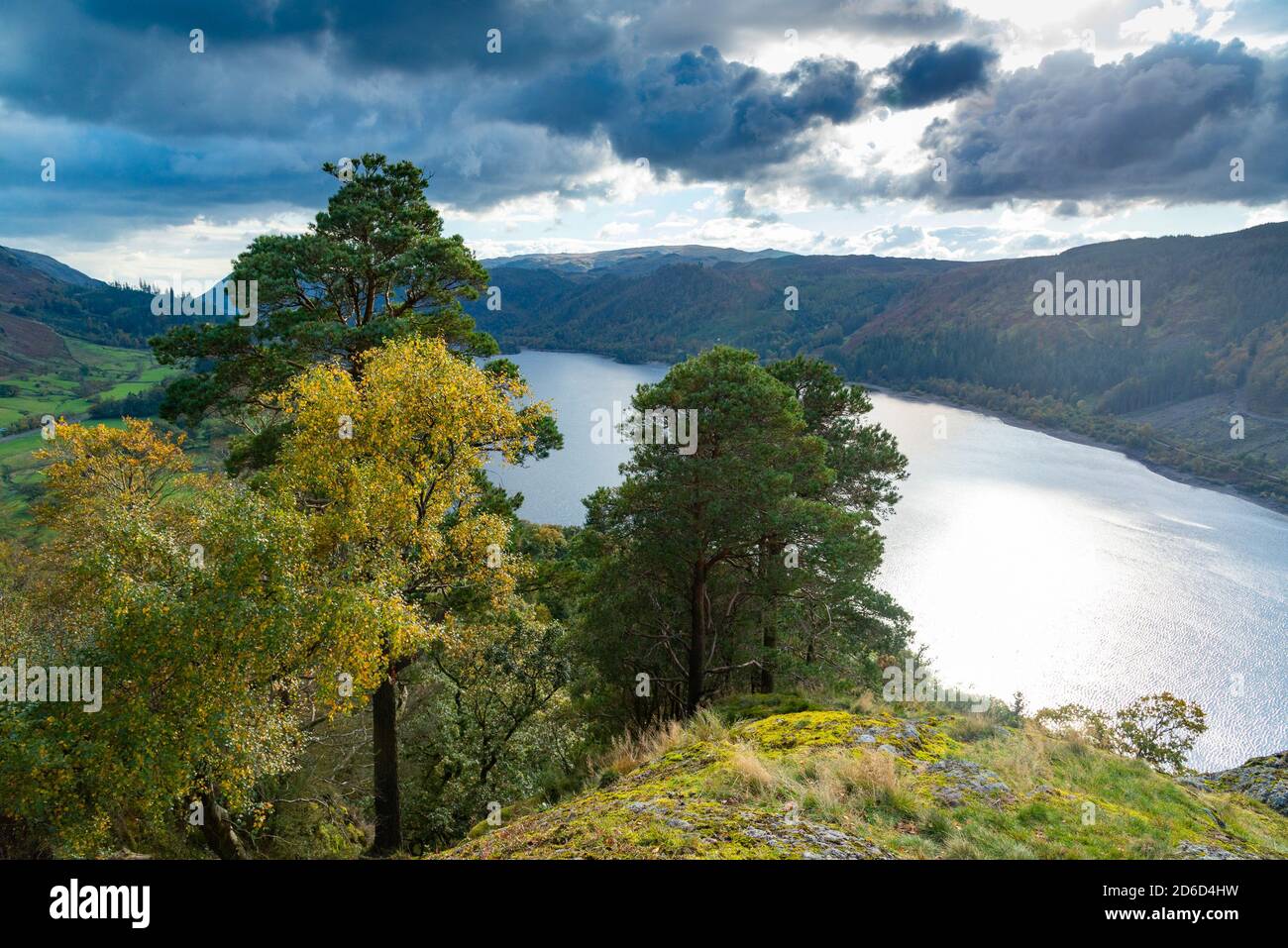 Autumn colours at Thirlmere, Cumbria in the Lake District. Thirlmere is ...